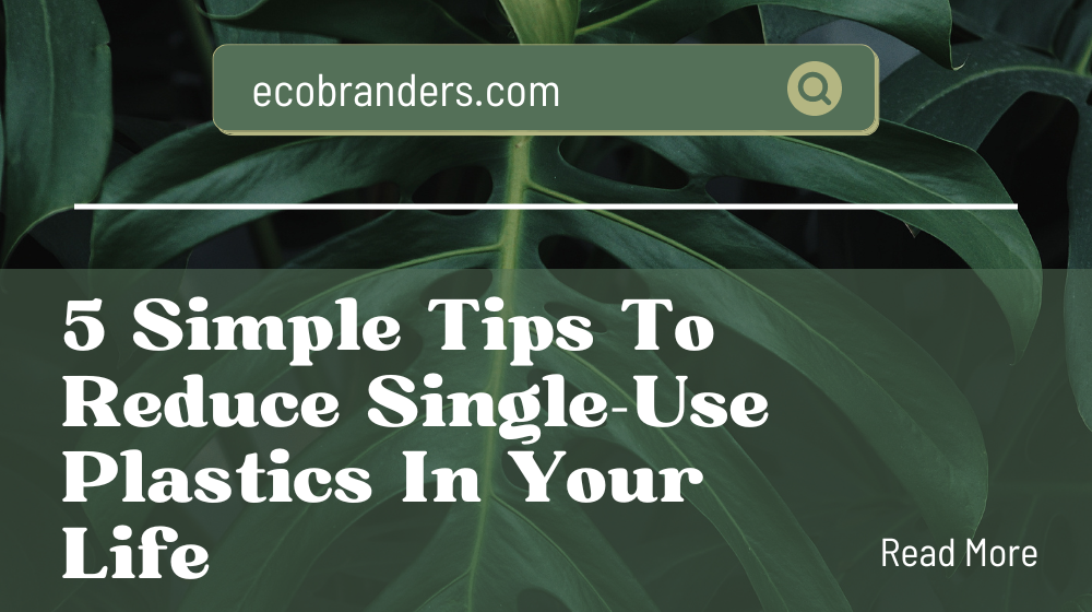 5 Simple Tips To Reduce Single-Use Plastics In Your Life
