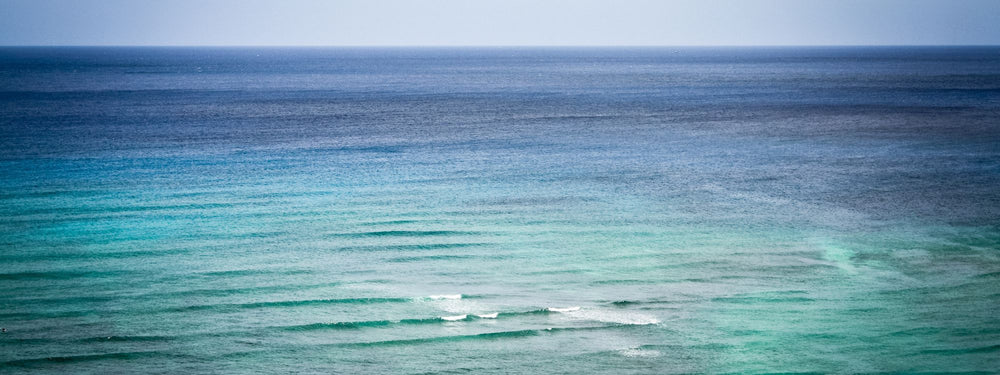 Healthy Oceans Collection